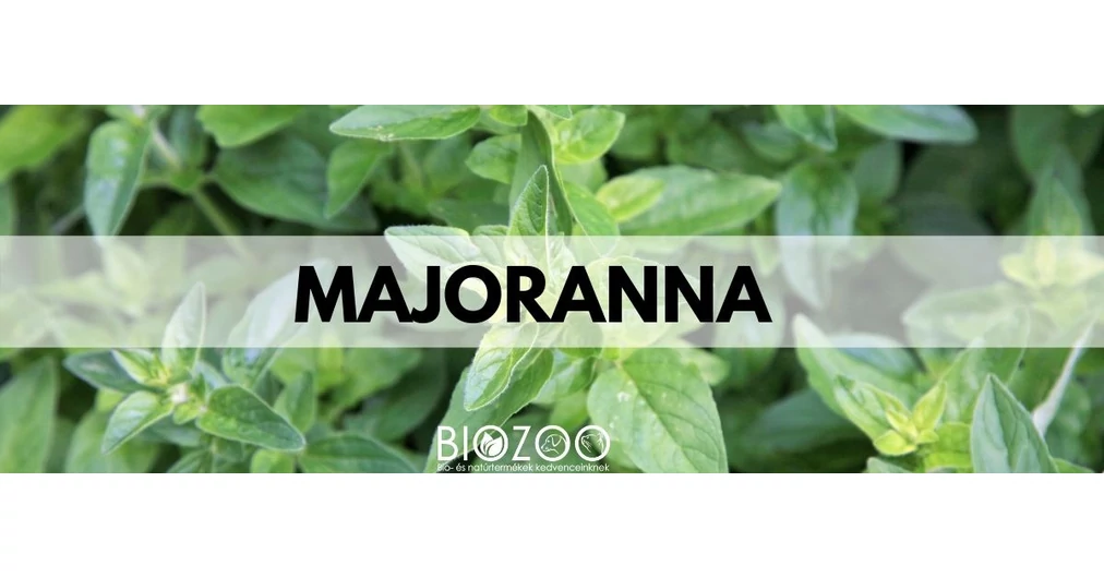 Majoranna gyógyhatása macskádnak