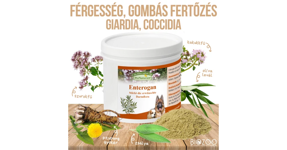 PerNaturam Enterogan 100 g